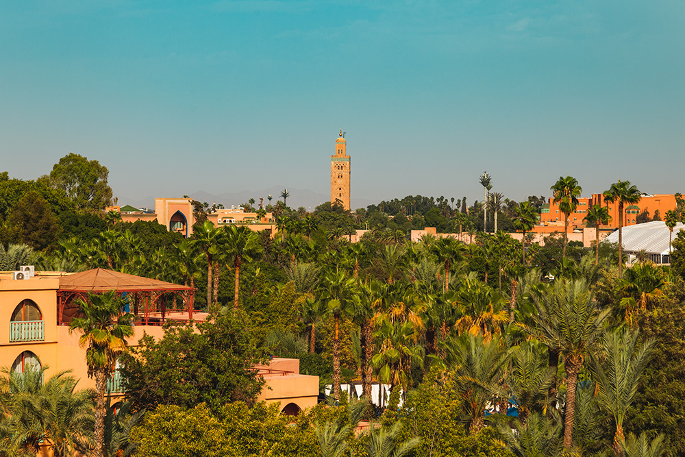 8 Best Gardens in Marrakech for Nature and Tranquility