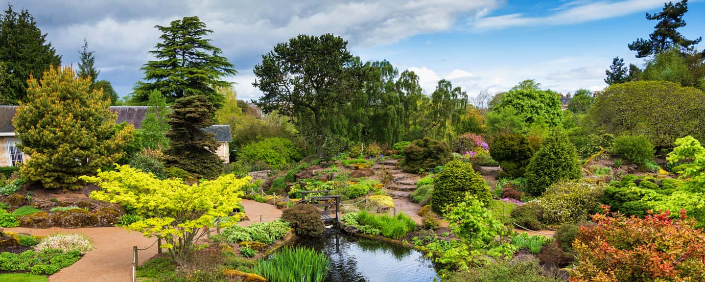 7 Best Gardens in Edinburgh for Nature and Tranquility