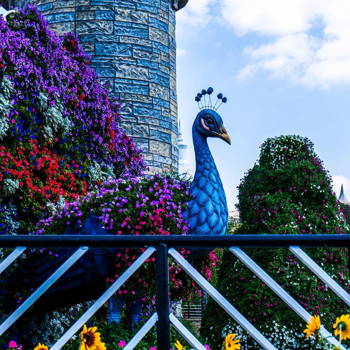 Best places to visit in Dubai: top attractions you don't want to miss