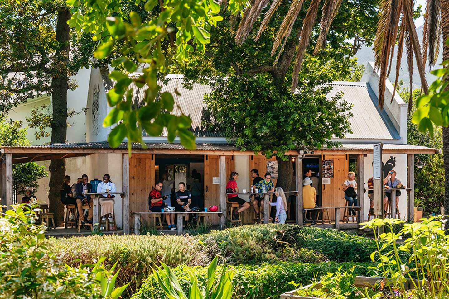 The Tastiest Food in Cape Town: 10 Must-Try Local Dishes