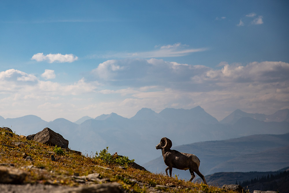 The 10 Best Tourist Attractions in Montana Not To Be Missed