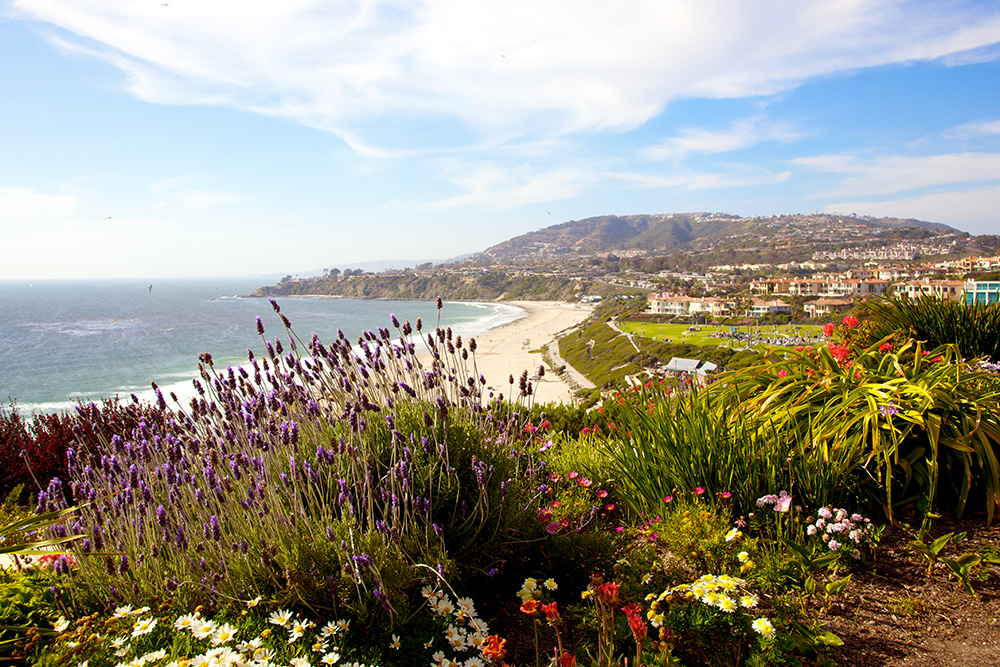 Spring in California: 10 Best Things To Do
