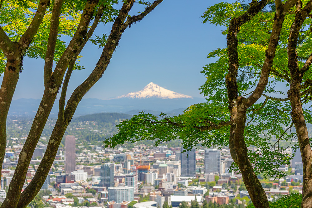 Portland, Oregon, in Spring: 8 Great Things to See and Do