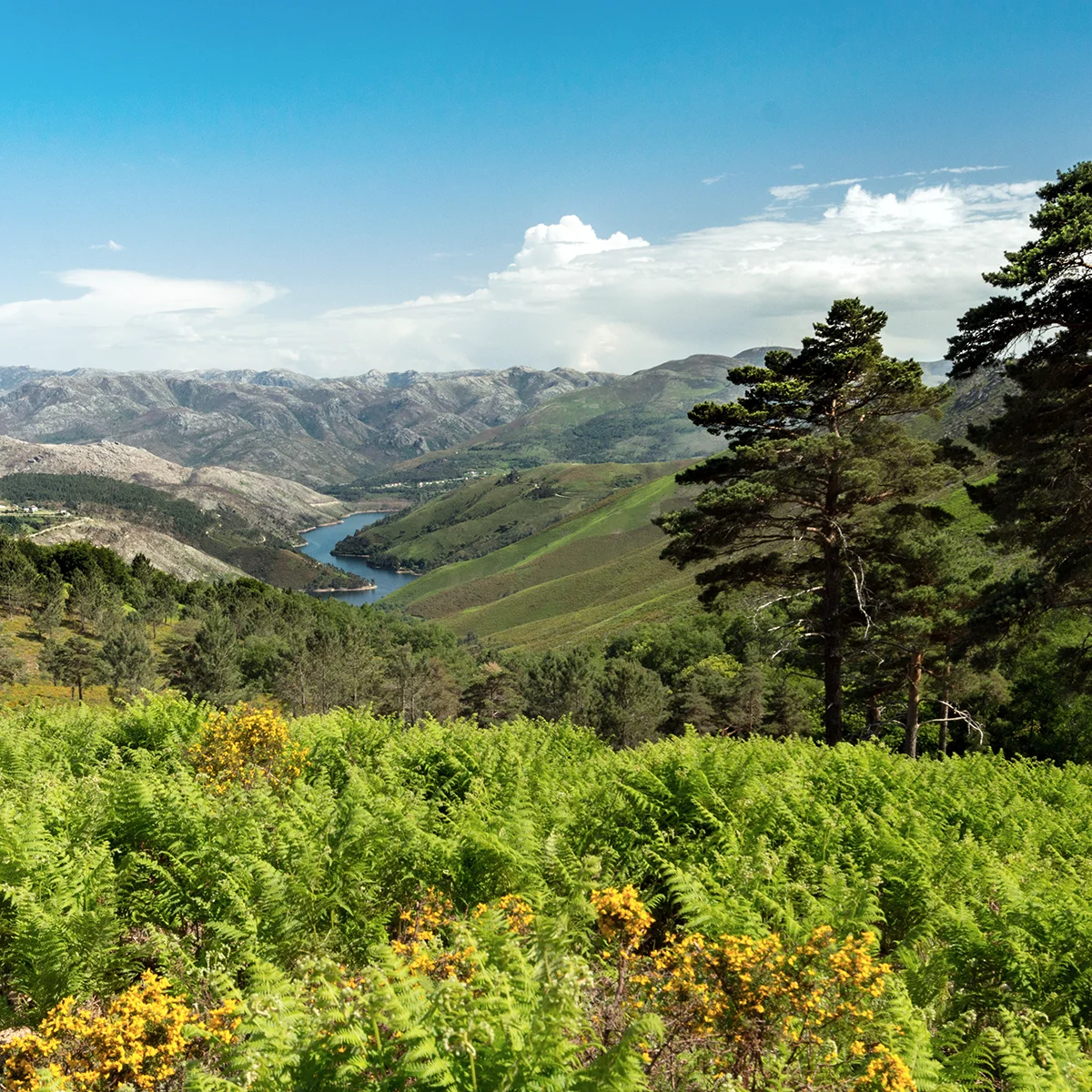 Porto in summer: best things to do and see