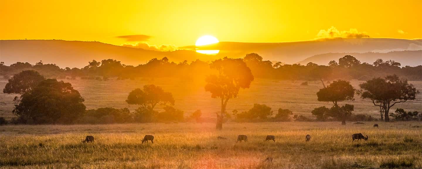 Masai Mara Travel Guide | Insider tips, hidden gems, itineraries and more