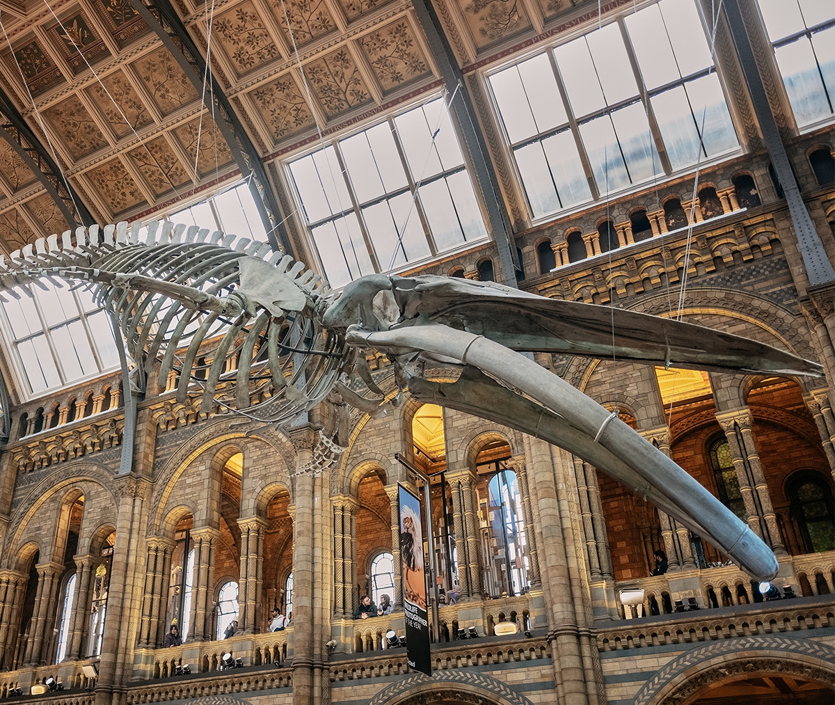 22 best museums in the world - A journey through history and art