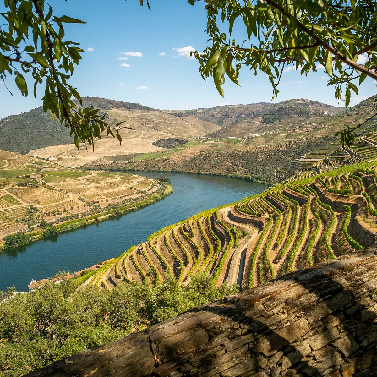 Porto in summer: best things to do and see