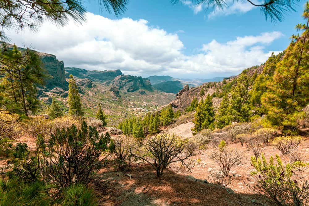 Canary Islands in October Guide: Everything You Need To Know