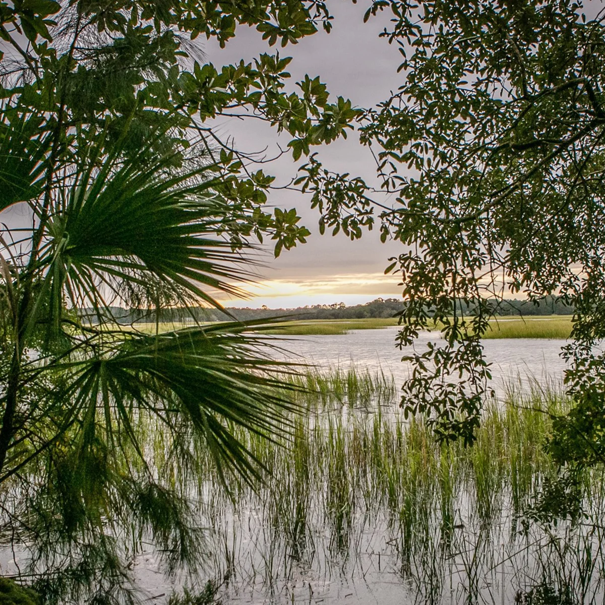 10 Fun family-friendly activities in Savannah