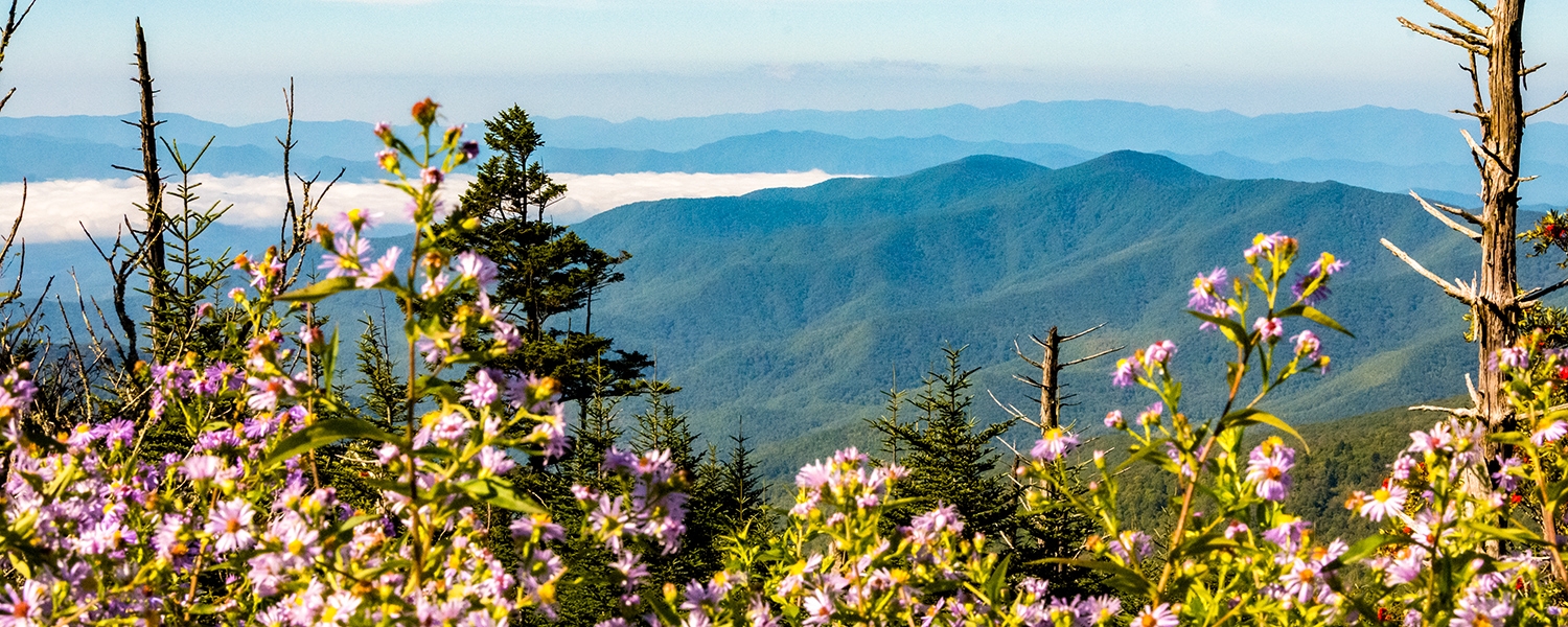 Tennessee Travel Guide | Insider tips, hidden gems, itineraries and more