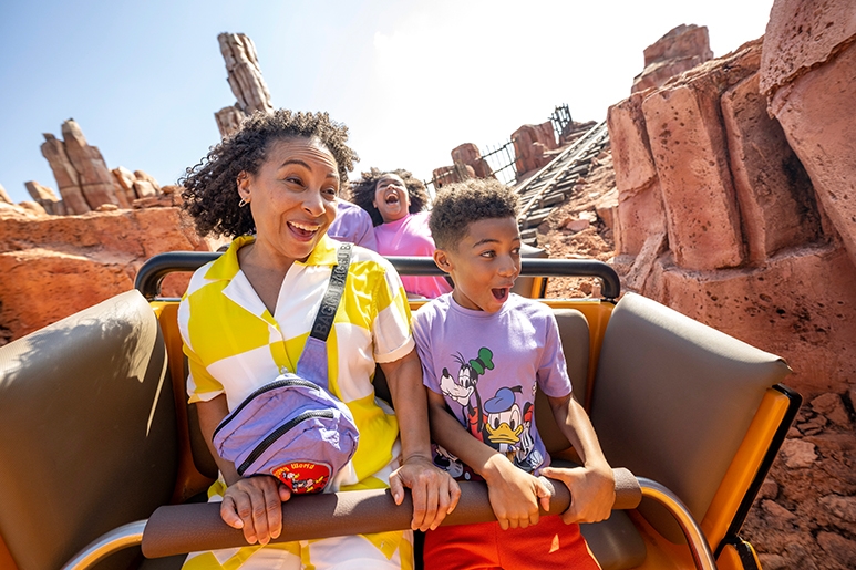 12 best rides at Walt Disney World Resort