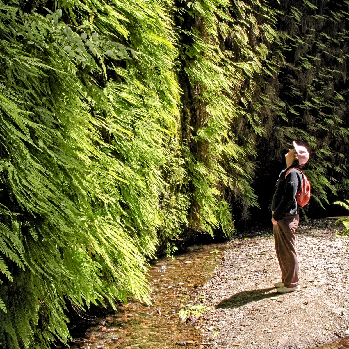 Northern California’s most unmissable hidden gems