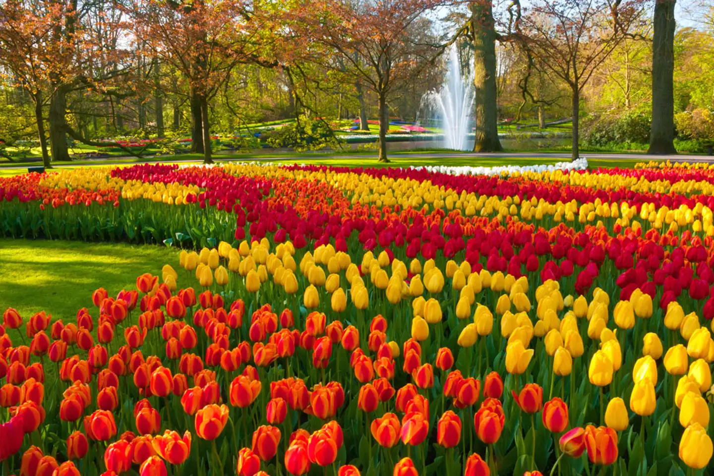 Los 10 mejores jardines de Ámsterdam para disfrutar de la naturaleza y la tranquilidad