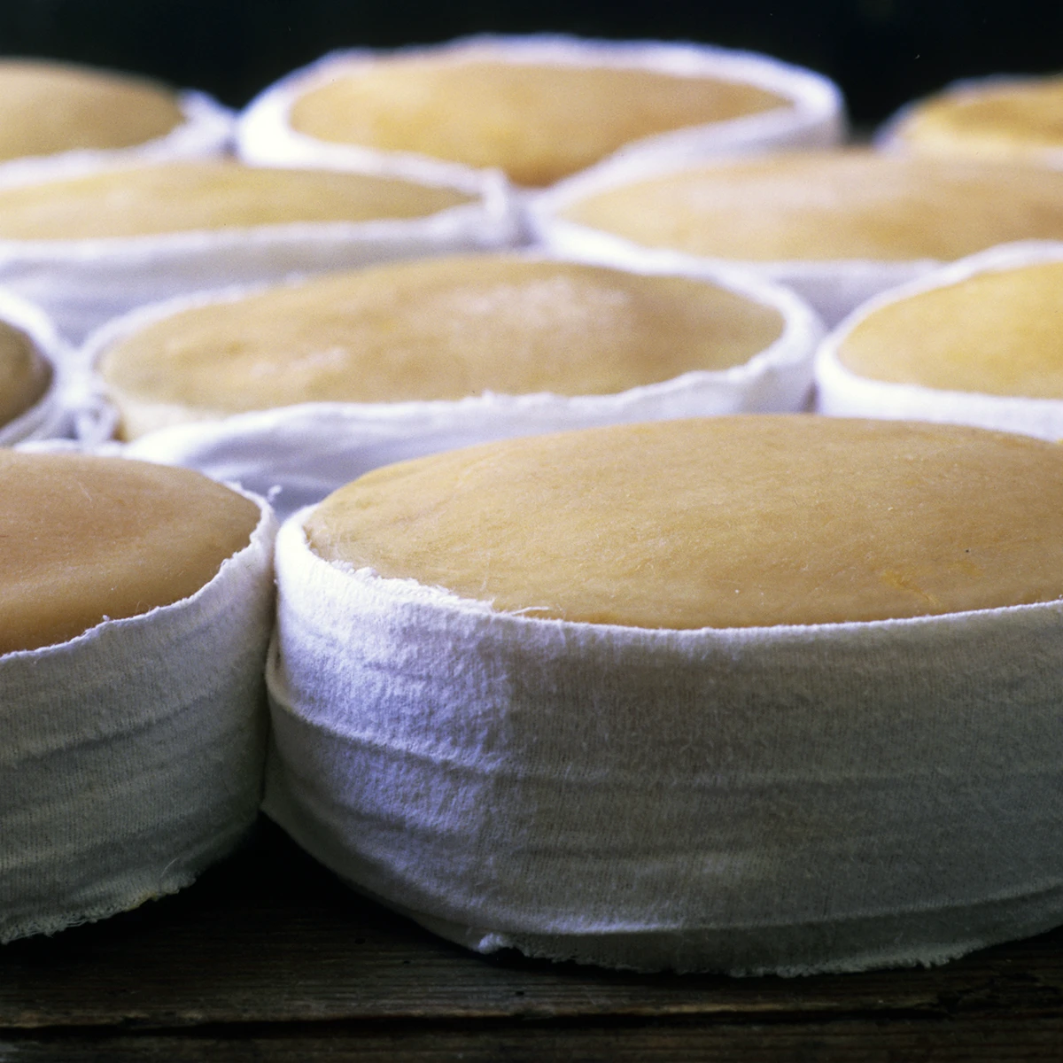 What to eat in Porto: 12 must-try local delights