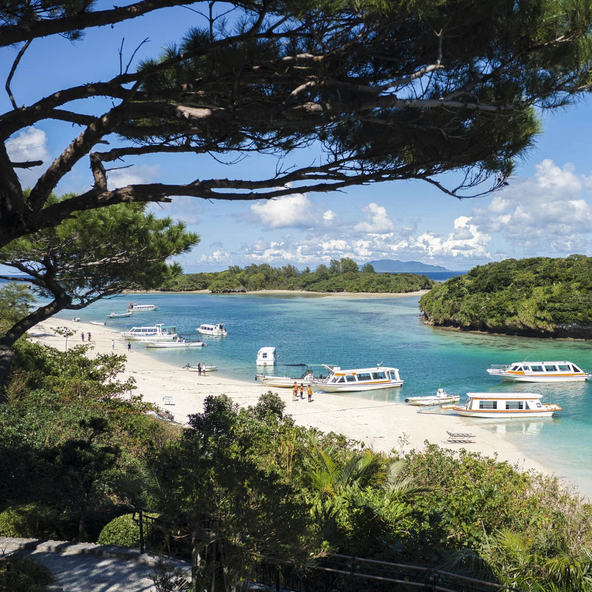 Experience the best of the East: The top 10 wonders of Japan