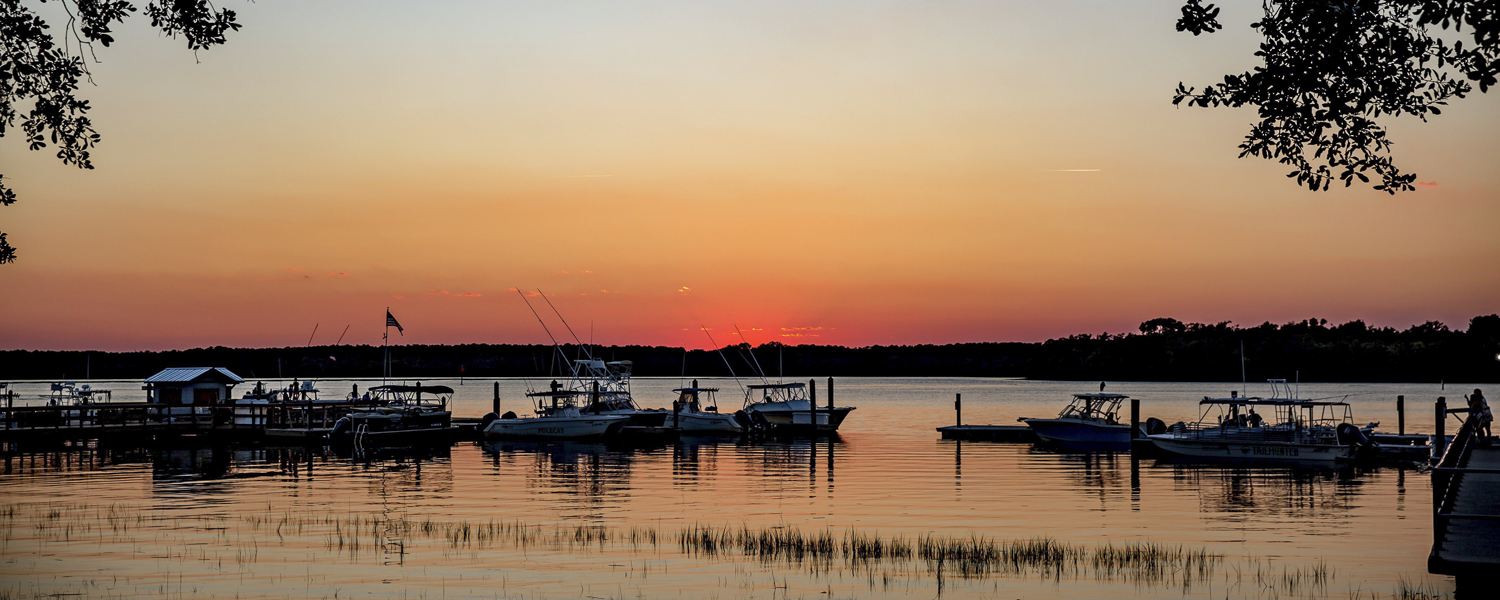 Winter in South Carolina: The 9 Best Places to Visit