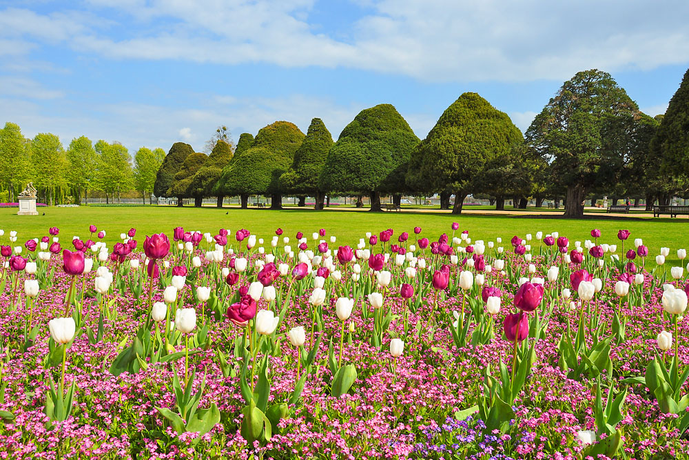 9 Beautiful Gardens in London You Have To Visit