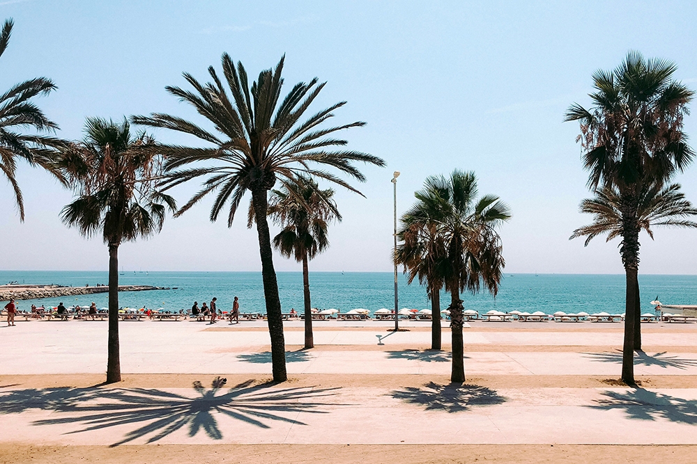 5 Best Things To Do in Barcelona in August