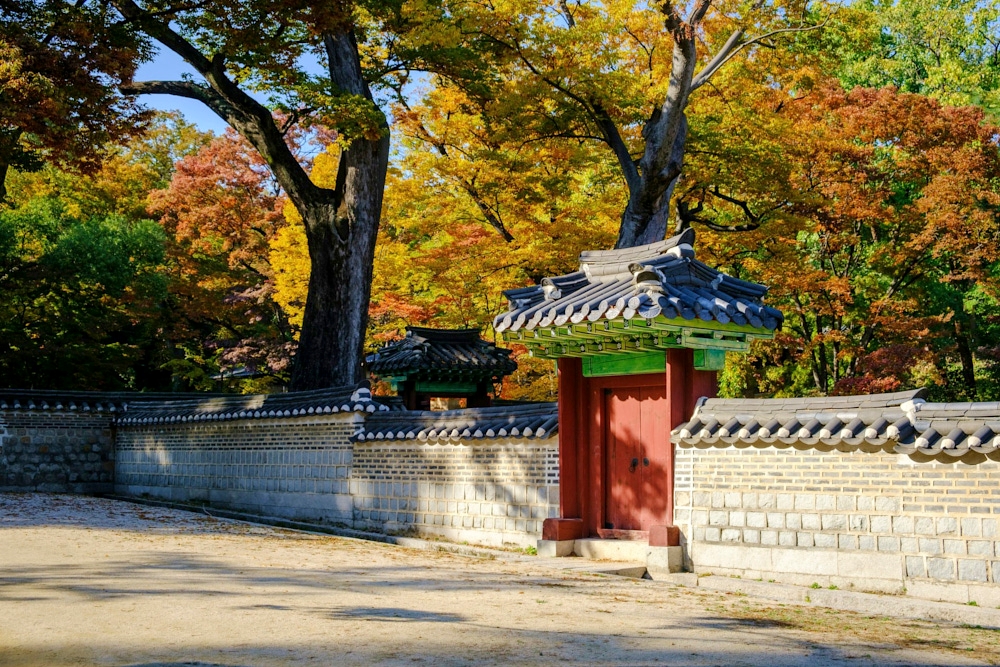 10 Epic Things To Do Alone in Seoul