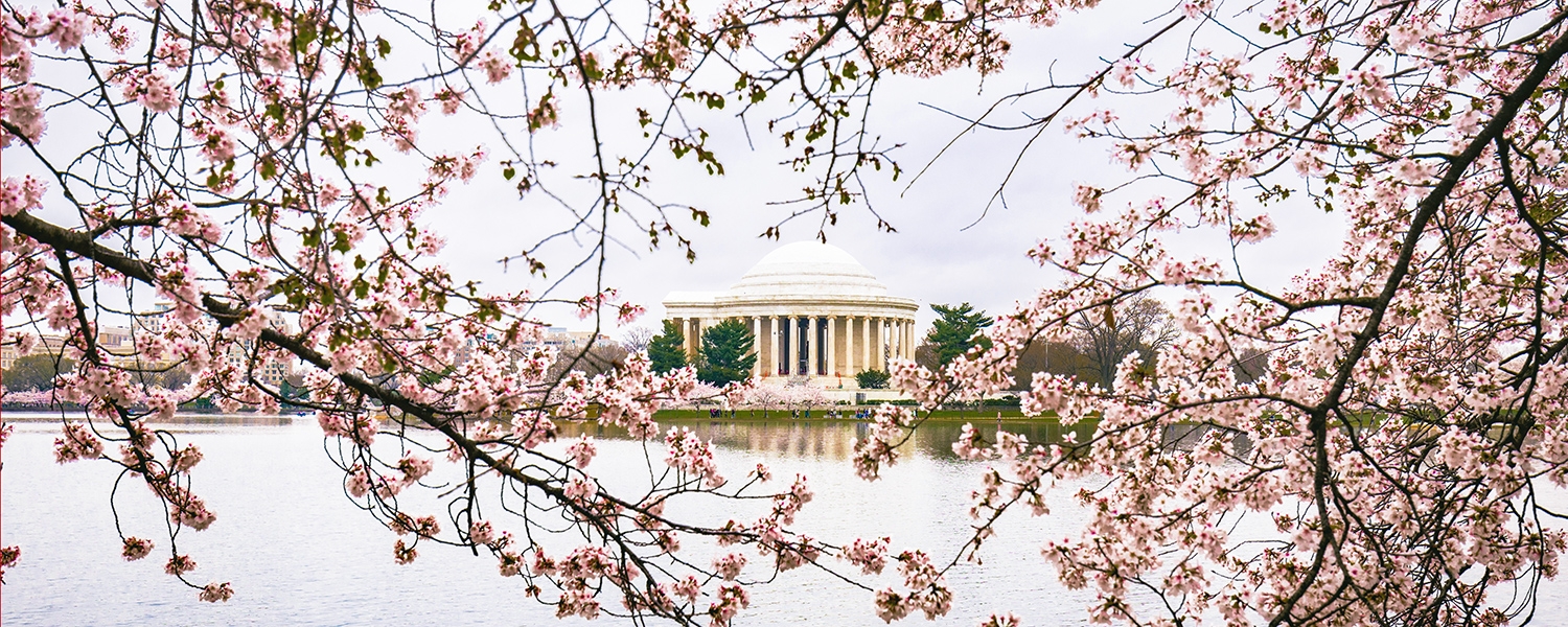Washington in Spring: What To Do and See