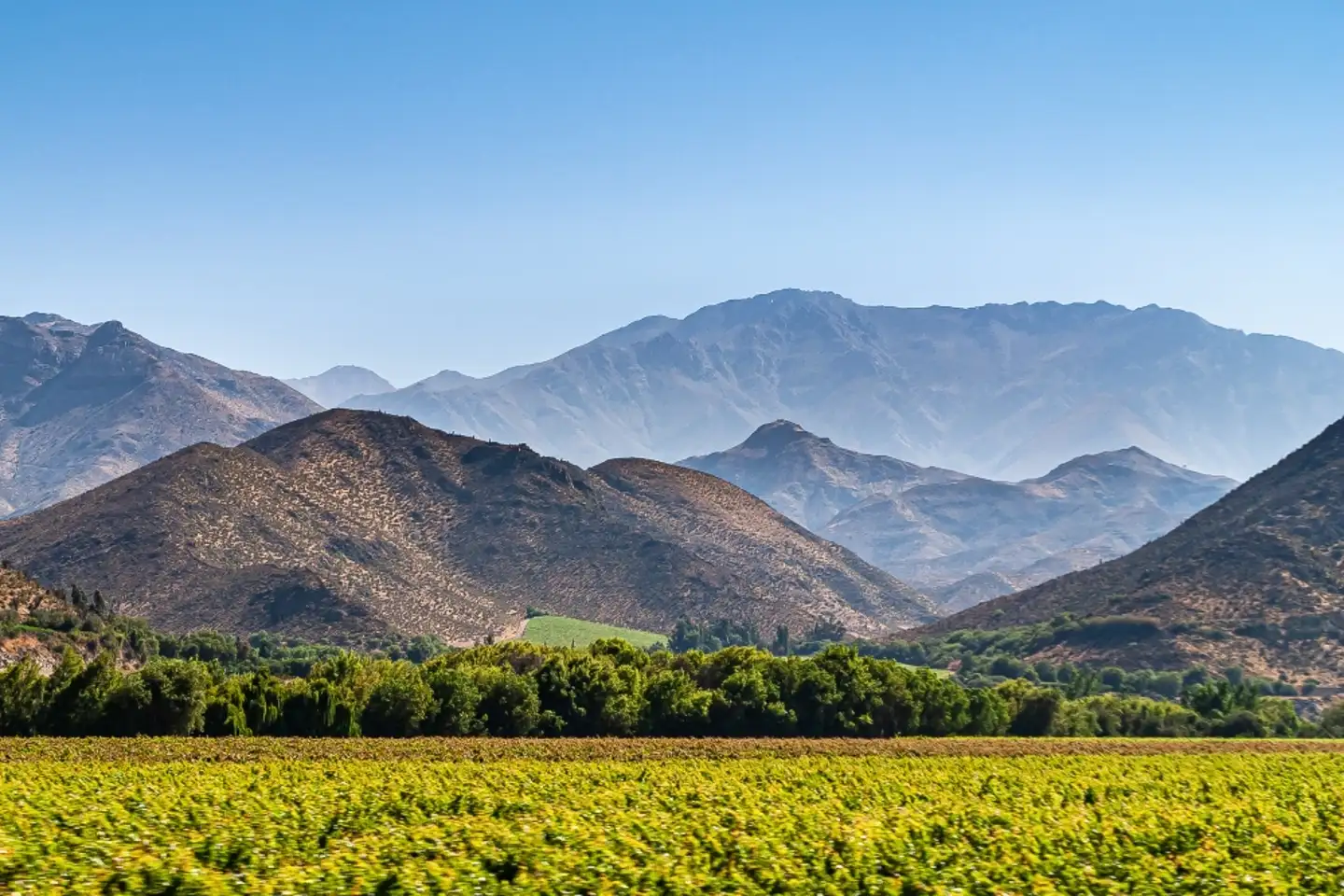 Wo man in Chile eine Weinprobe machen kann