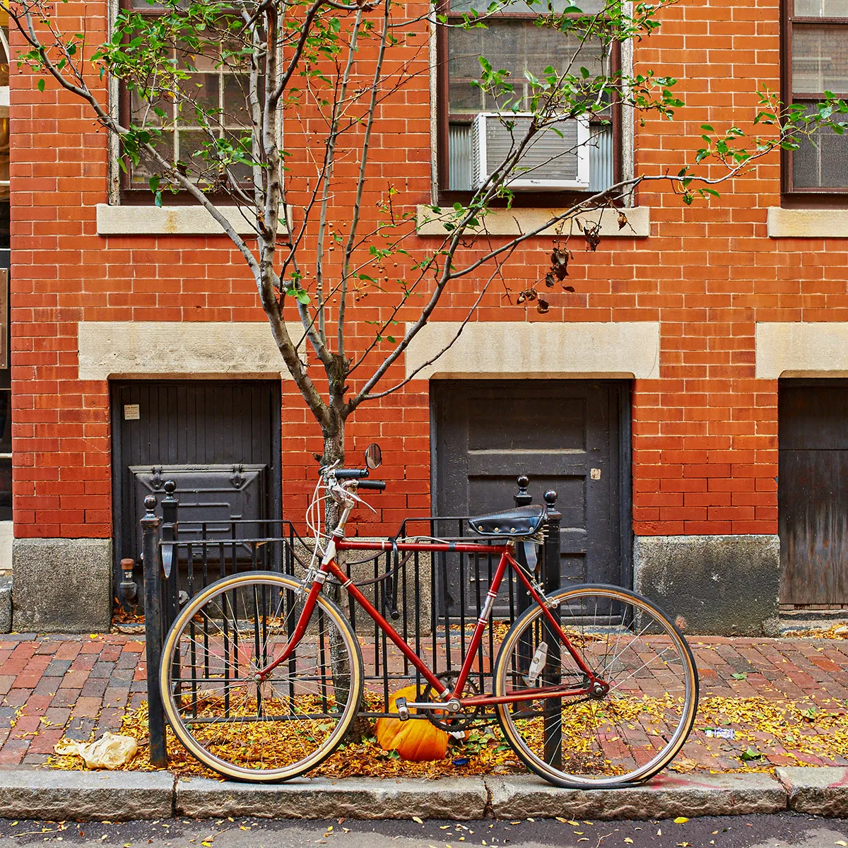 Boston in summer: best things to do and see