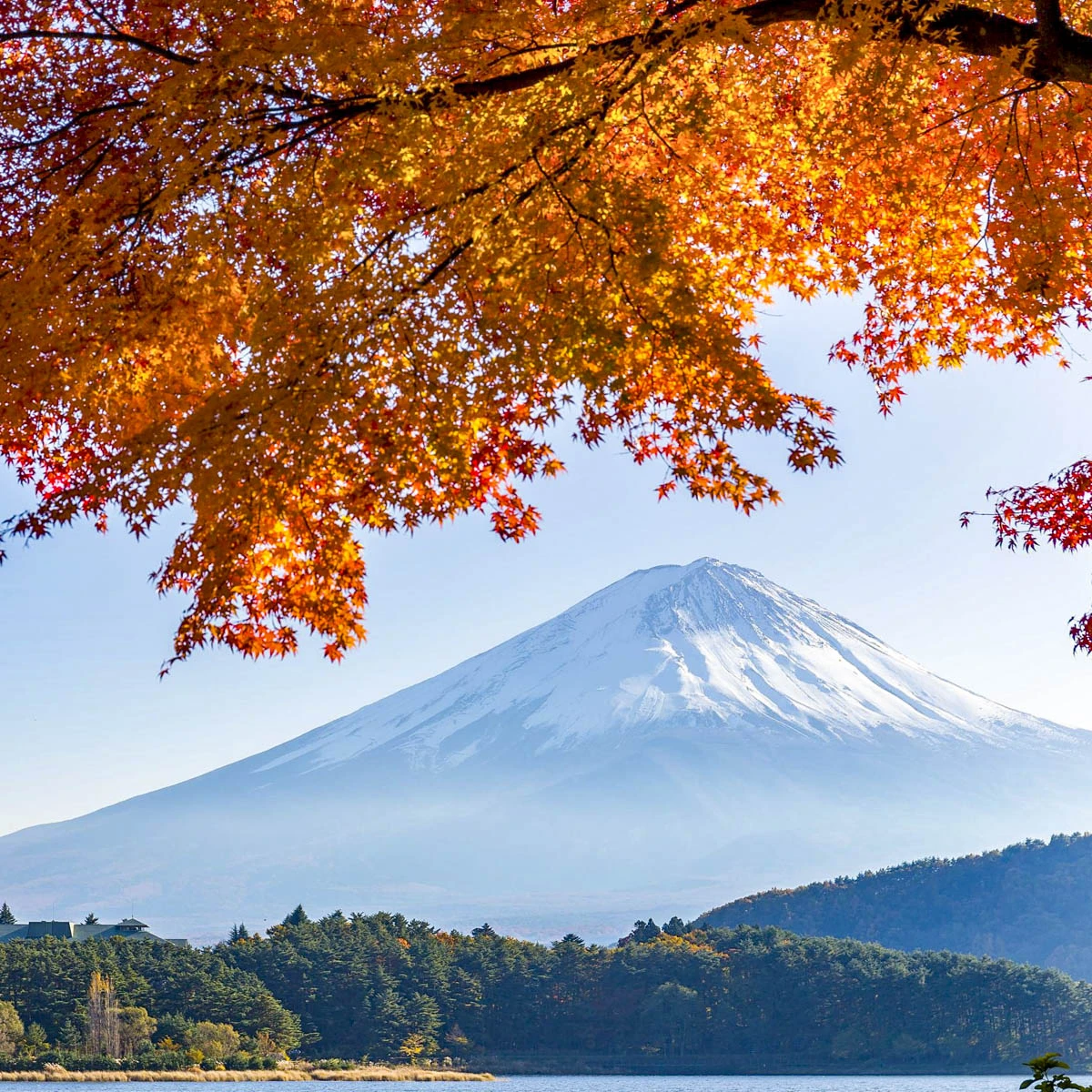 Experience the best of the East: The top 10 wonders of Japan