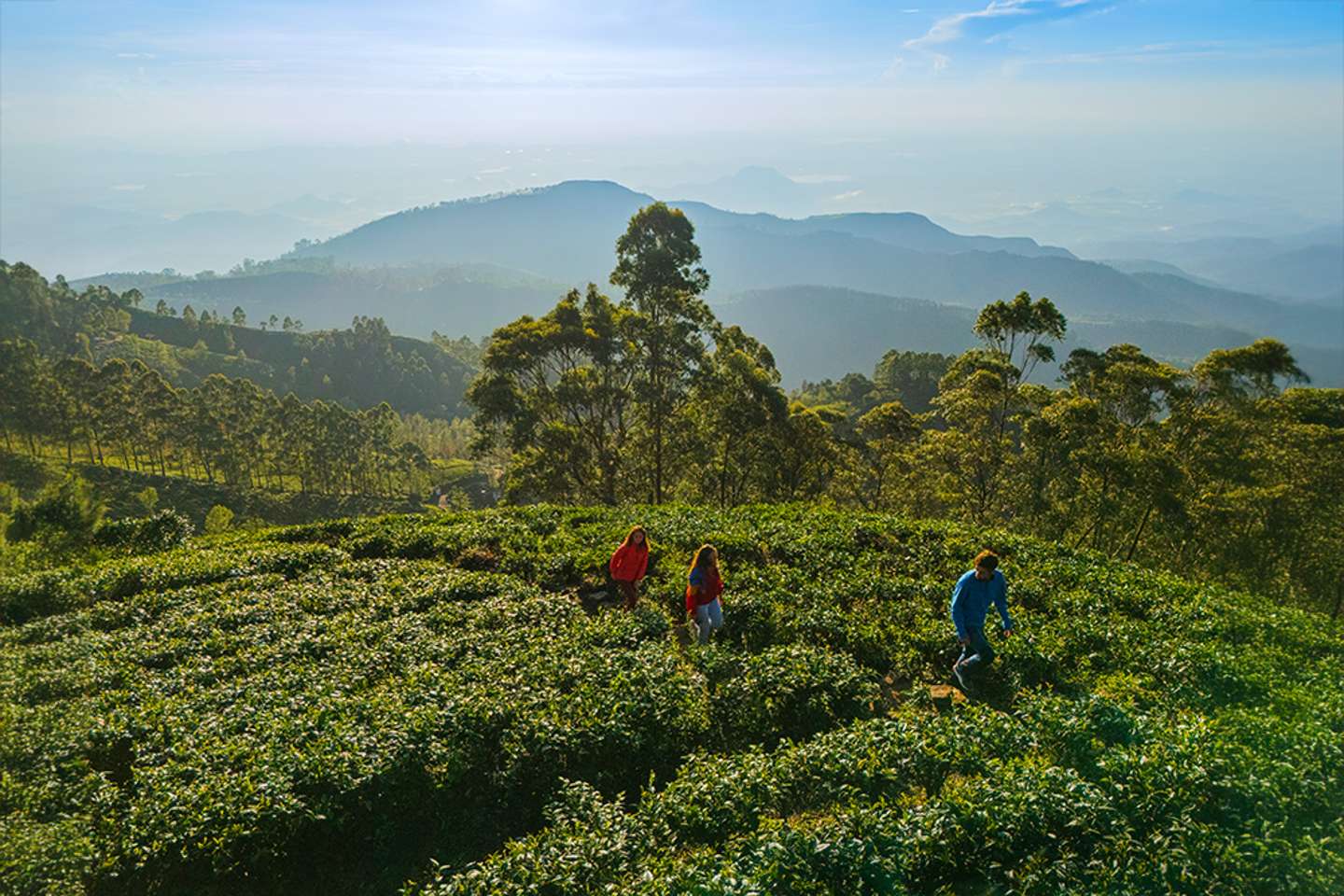Ella Travel Guide | Insider tips, hidden gems, itineraries and more