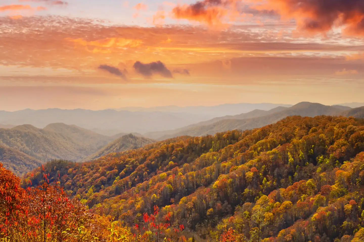 Best Places To Visit in Fall in Tennessee