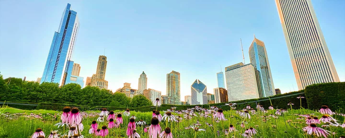 Chicago in Spring: What To See and Do