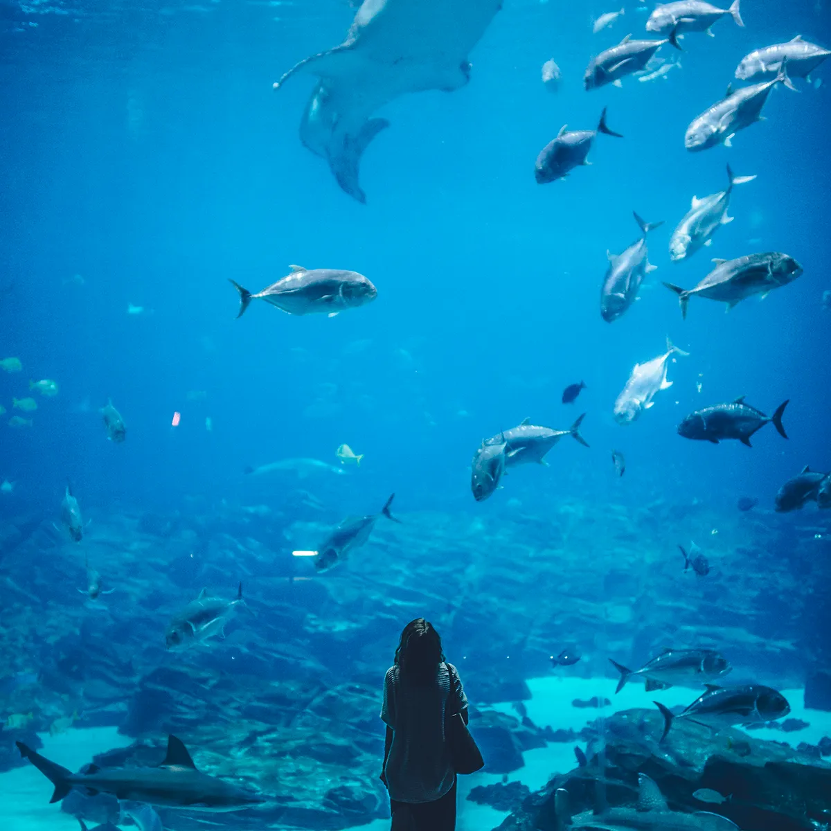 Best museums in Boston that are worth your time