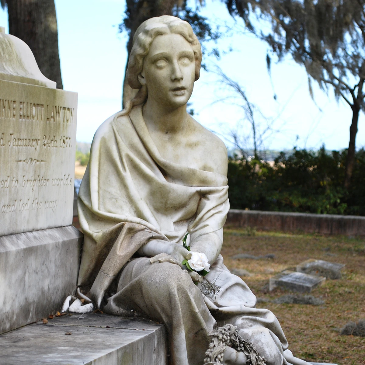 Savannah In Summer: What To See and Do