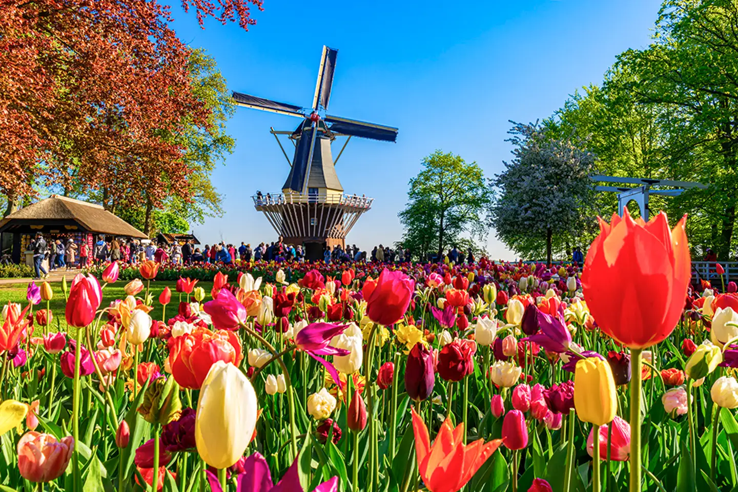 The 12 Best Free Things To Do in Amsterdam