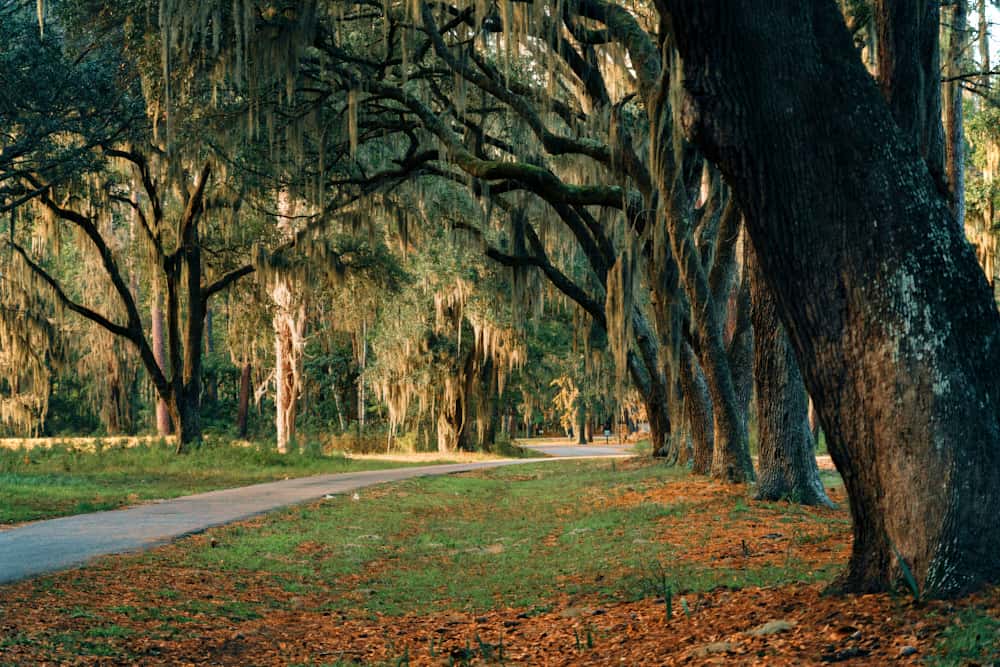 Fall in South Carolina: What to See and Do