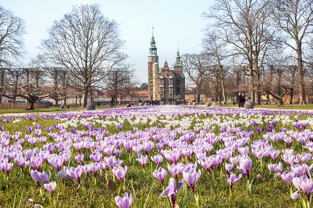 Copenhagen in May: What To See and Do