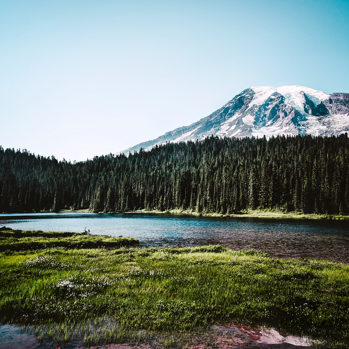 12 of the most romantic things to do in Seattle