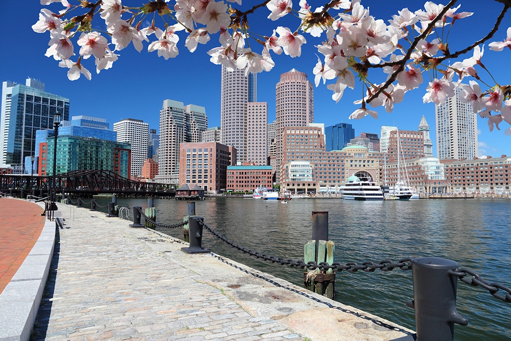 Boston in Spring: What To See and Do