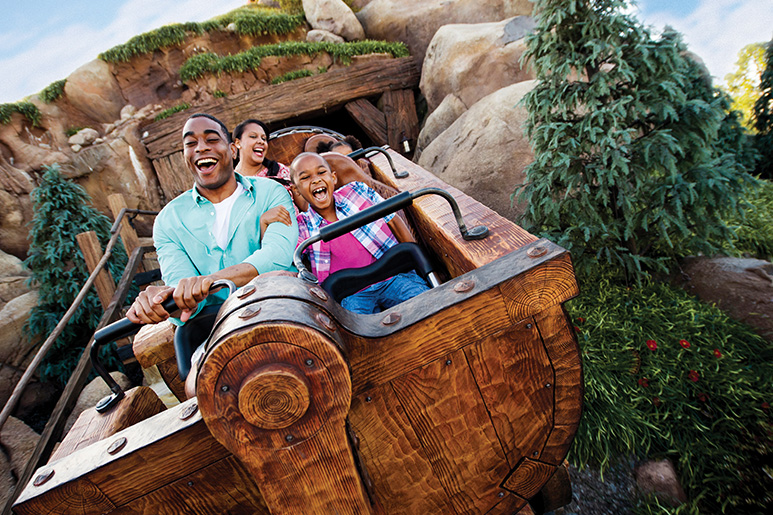 12 best rides at Walt Disney World Resort