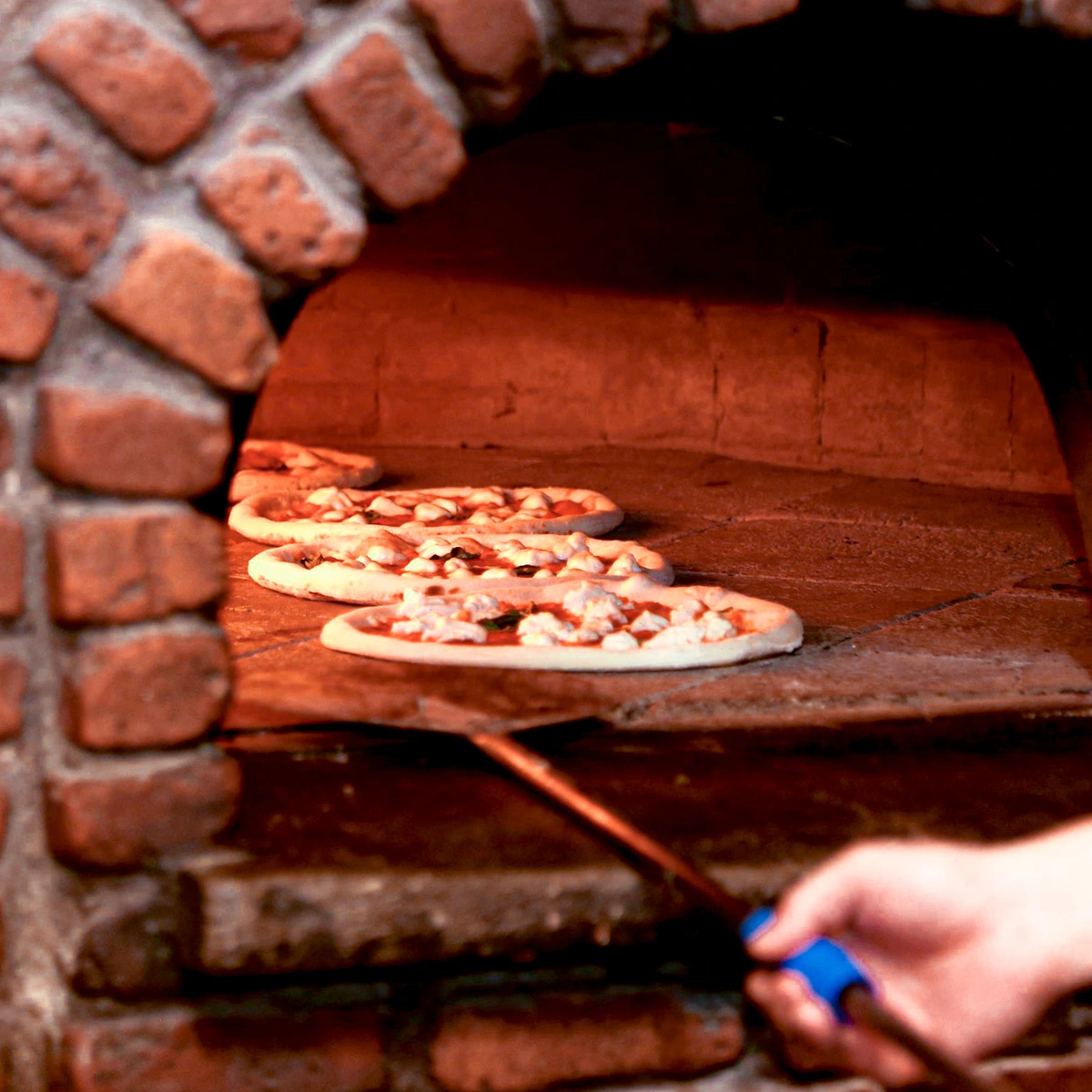 The Tastiest Food In Boston: 12 Must-Try Local Dishes