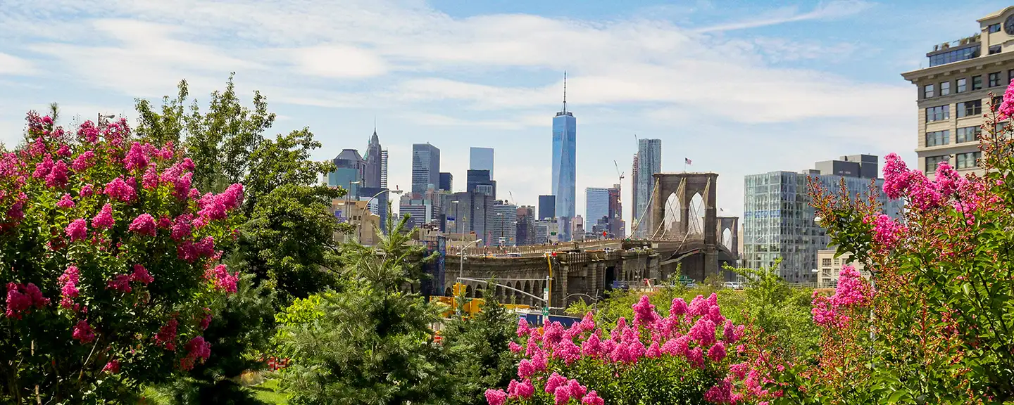 Besuch In New York City Im Juni Alles Was Du Wissen Musst 