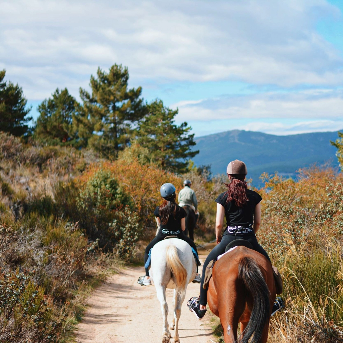 20 fun and unique things to do in Madrid
