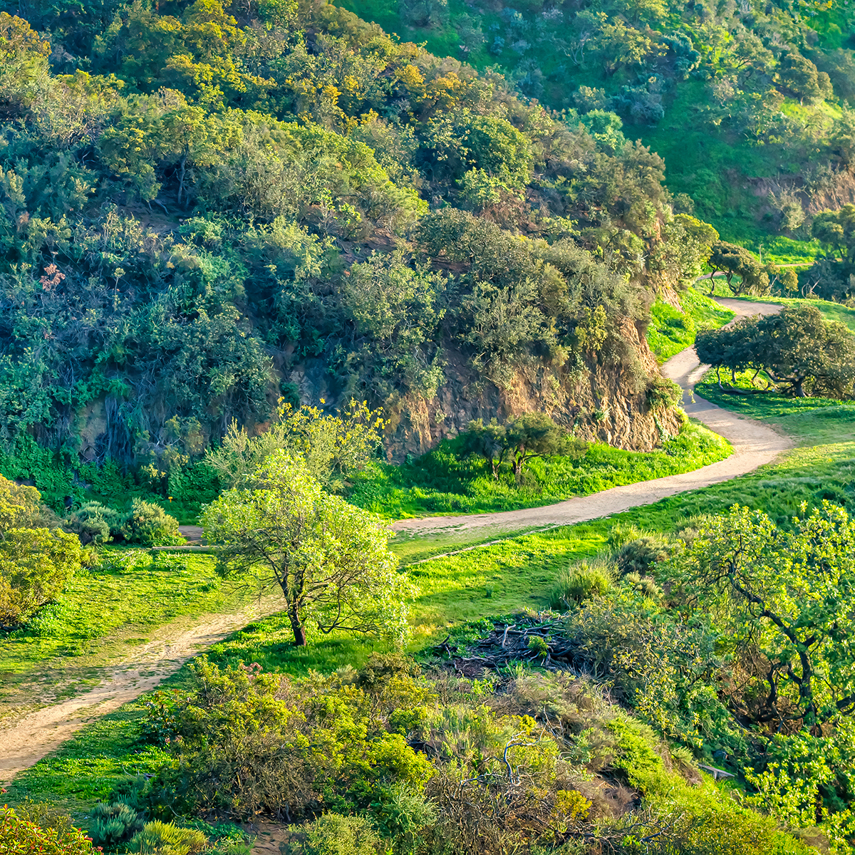 15 Unmissable Los Angeles Landmarks and Historic Sights