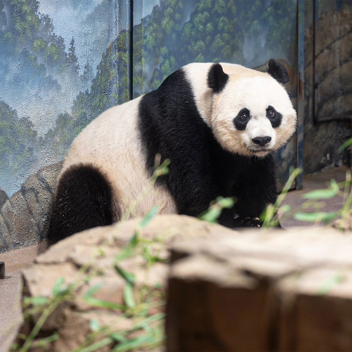 Top 10 Things To Do in Madrid With Kids and Teens