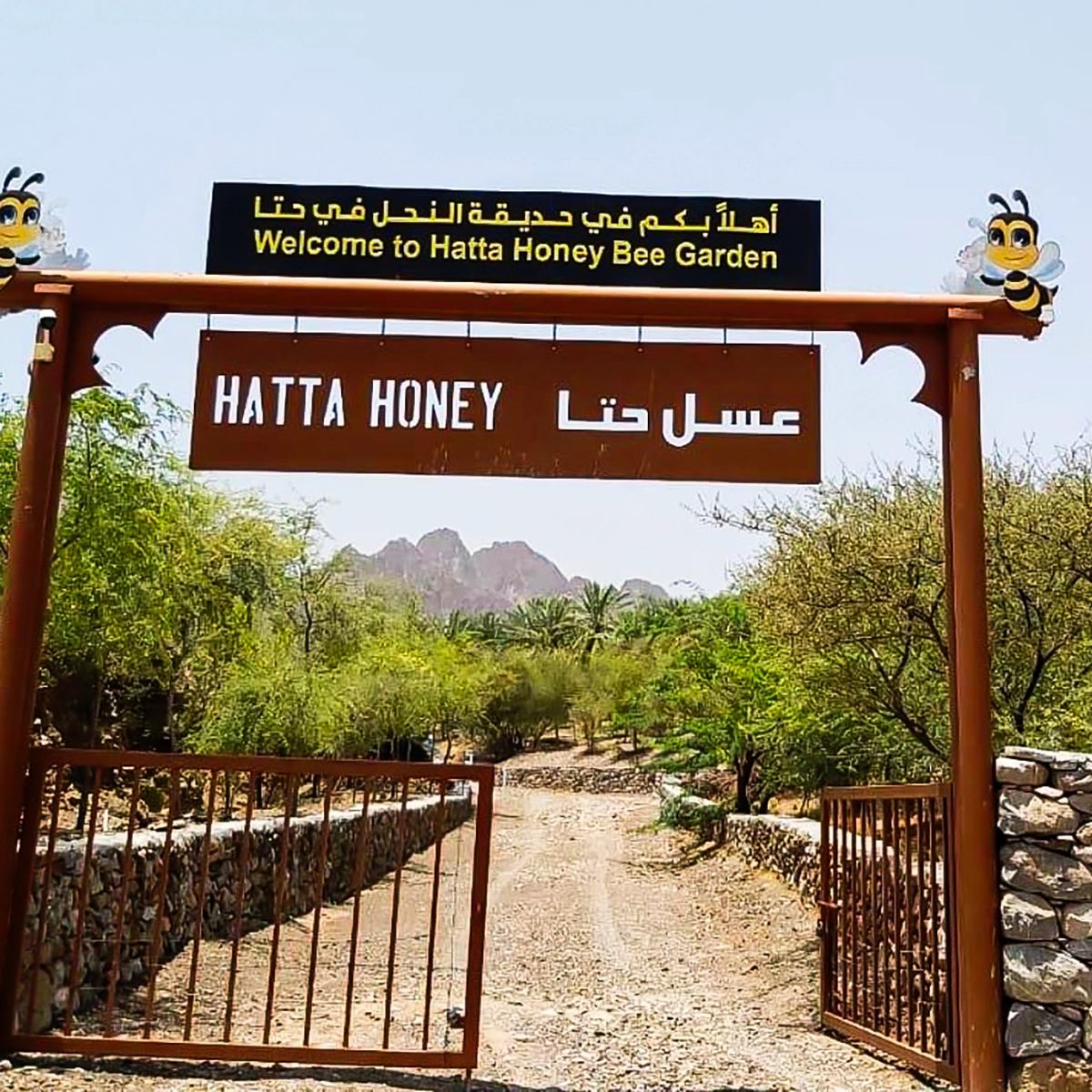 Explore off the beaten path with Dubai's best hidden gems