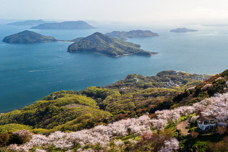 Visit Miyajima: Ultimate Guide to Japan’s Shrine Island