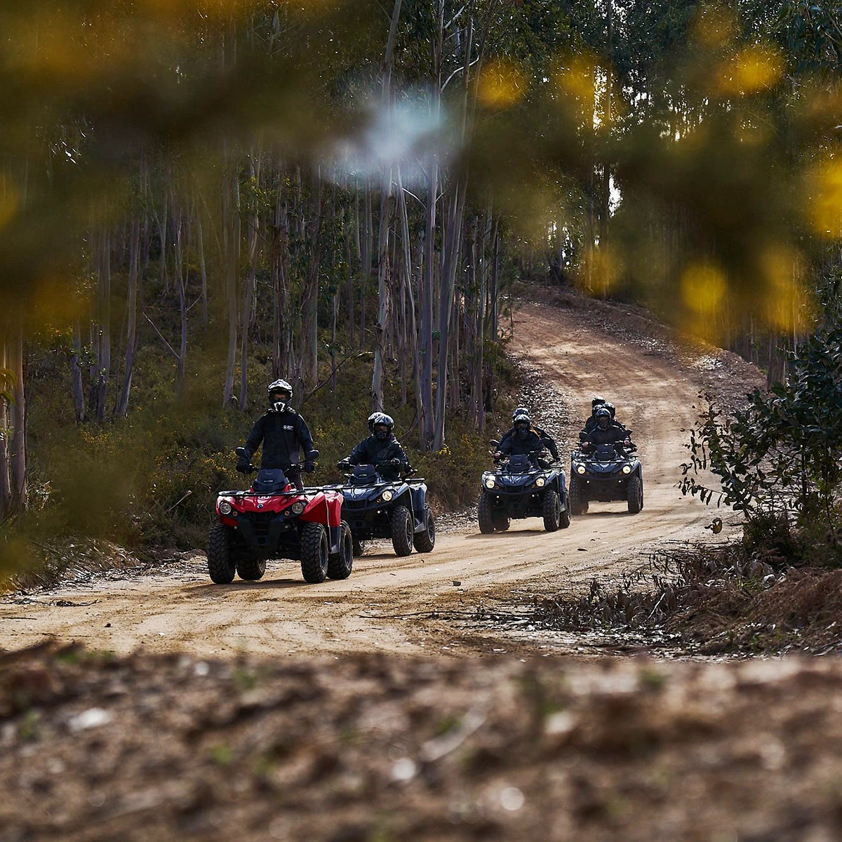 19 Unique and Fun Things To Do in Porto