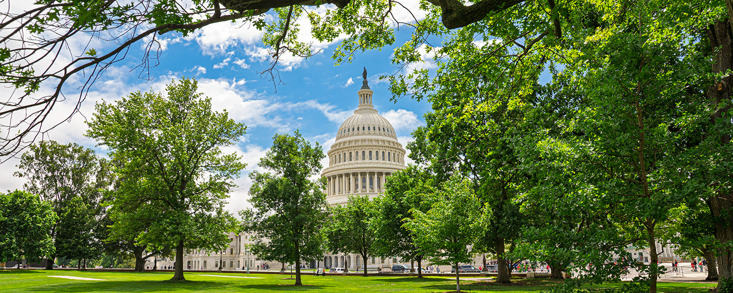 Washington Travel Guide | Insider tips, hidden gems, itineraries and more