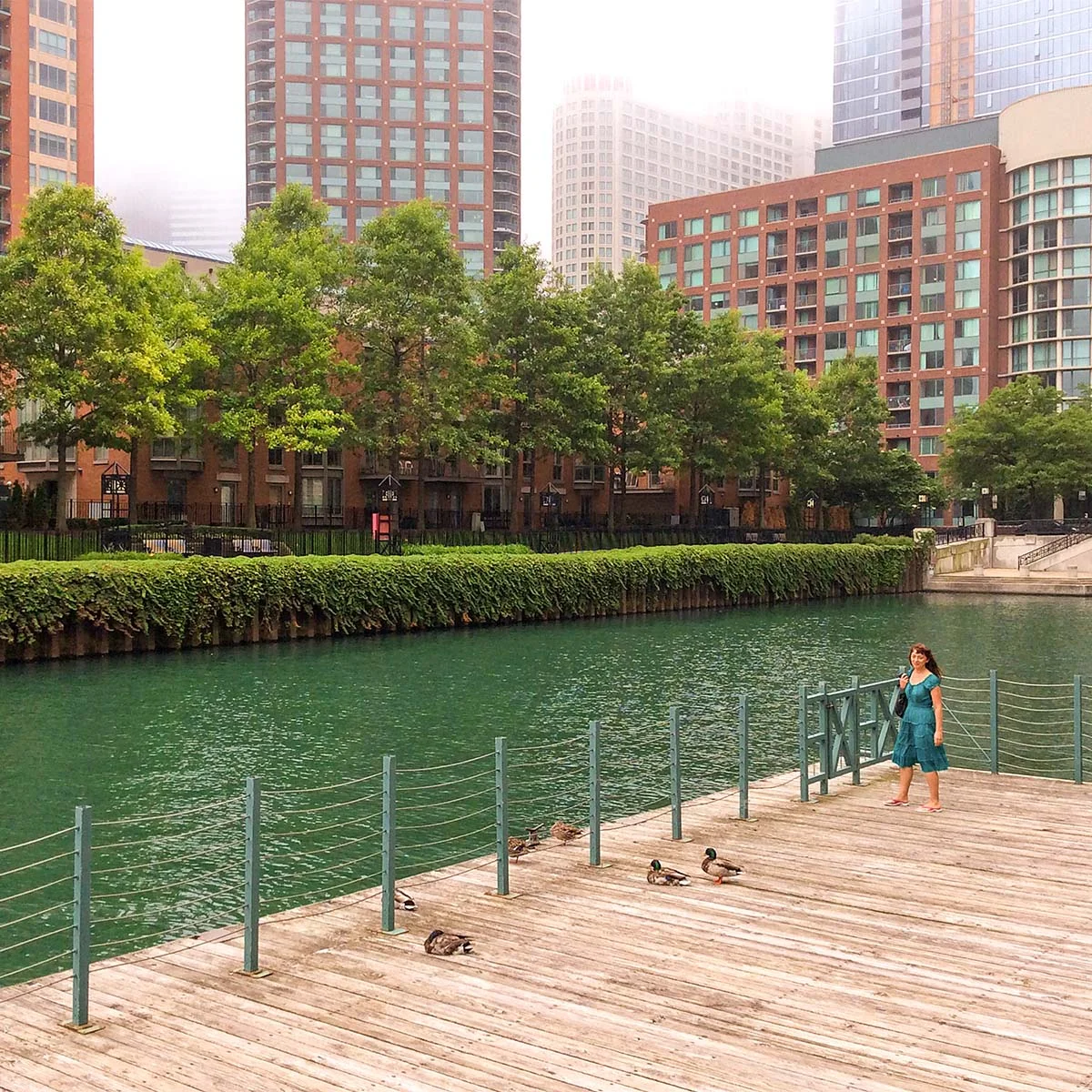 Chicago for couples: the most romantic things to do