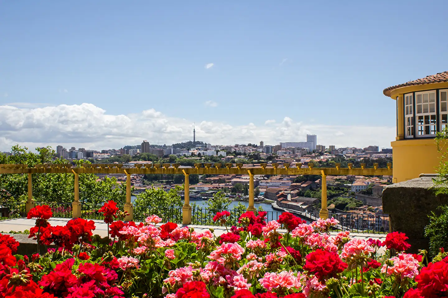 Tu Guía de Oporto en primavera: Las 7 mejores cosas que hacer y ver