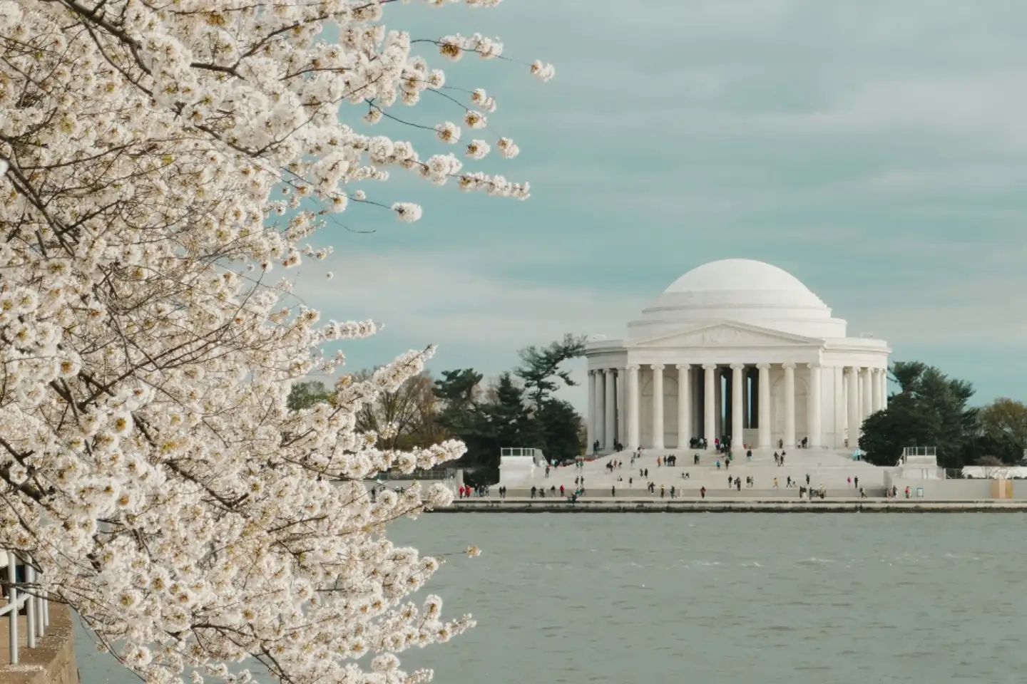 9 Ways To Celebrate Your Birthday in Washington, DC